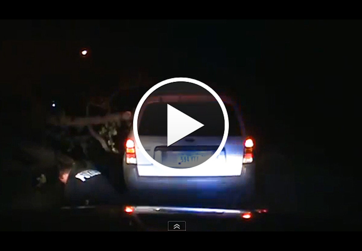 Dashcam Video: Iowa Officer Hit by Falling Tree at T-Stop | Police Magazine