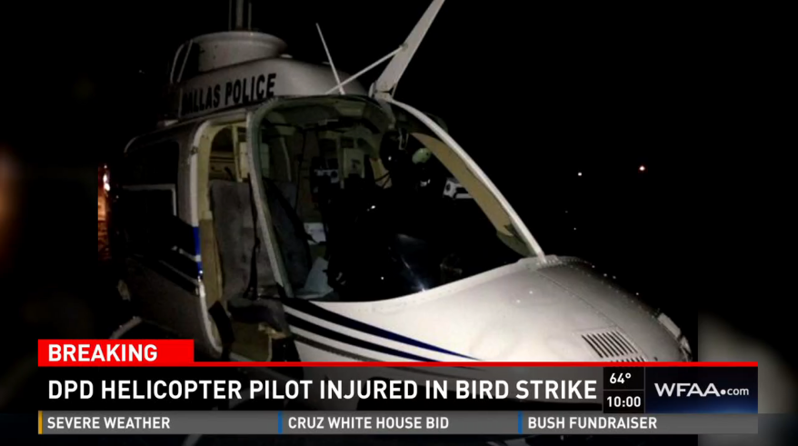 Dallas Police Helicopter Lands Safely After Bird Strike | Police Magazine