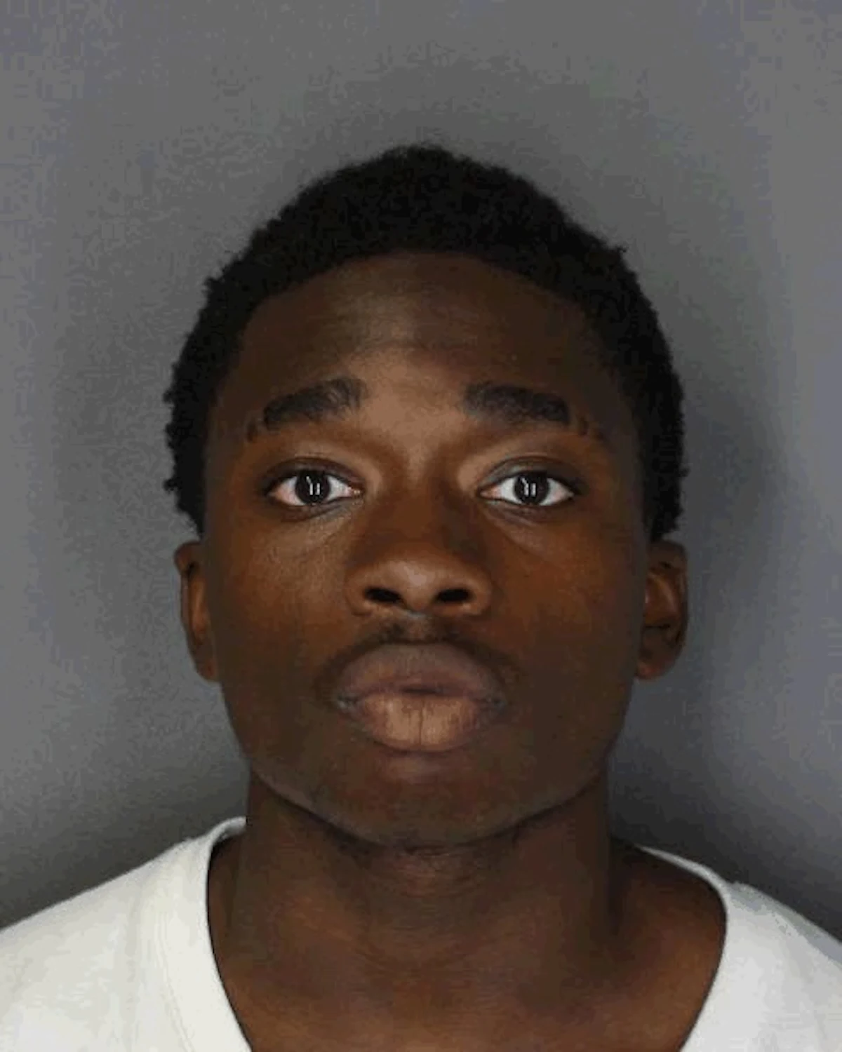 Buffalo Officer Attacked by Man on Synthetic Marijuana, Police Say ...