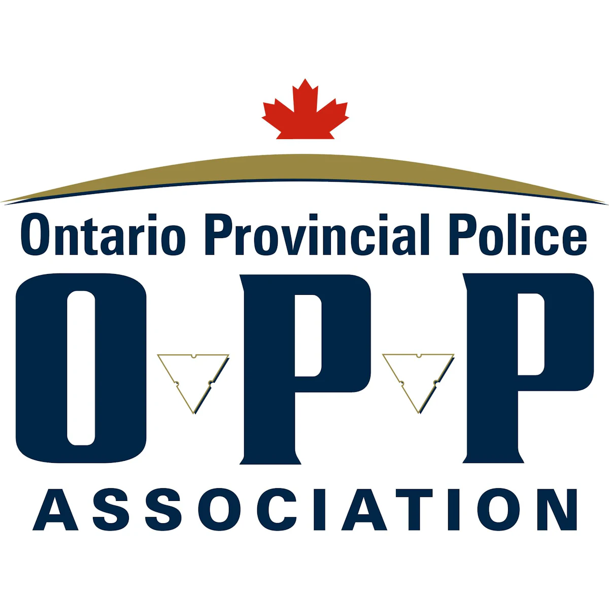 Canadian Police Association Urges Officers to Seek Help after 3 ...