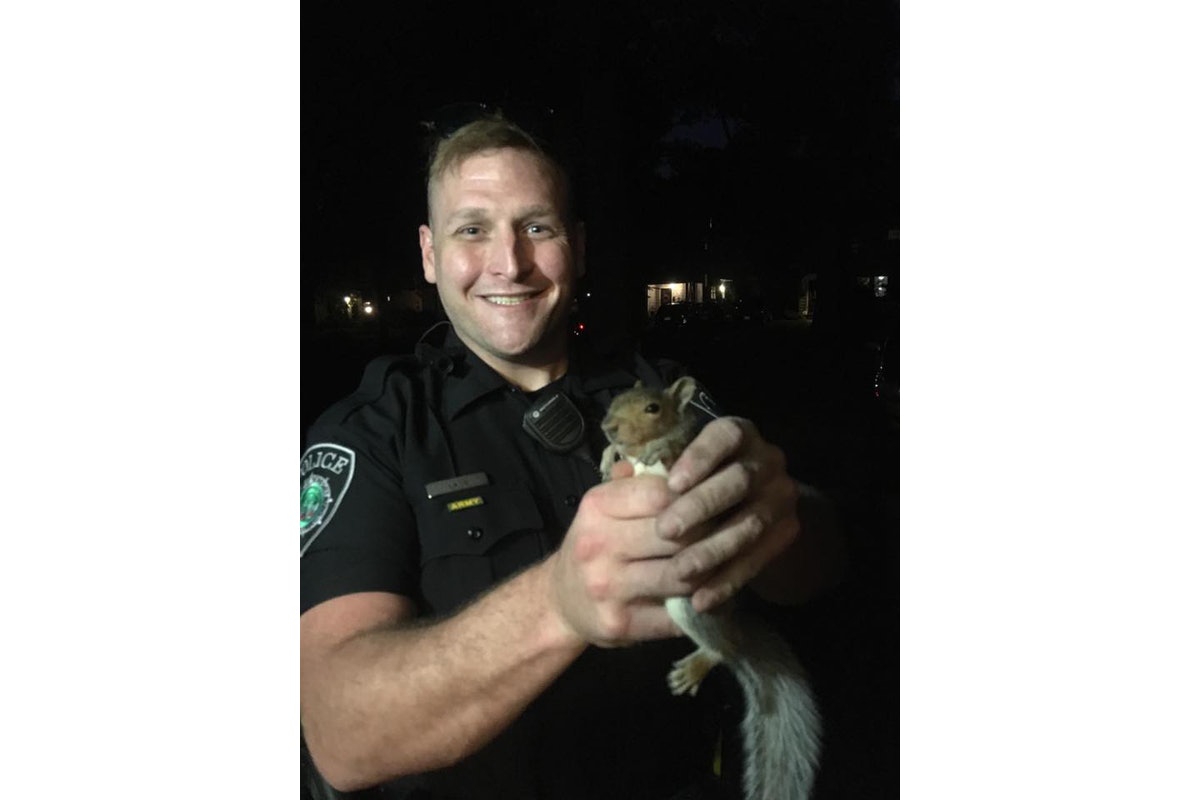 Virginia Officer Called to Remove Squirrel Trapped in Chimney | Police ...