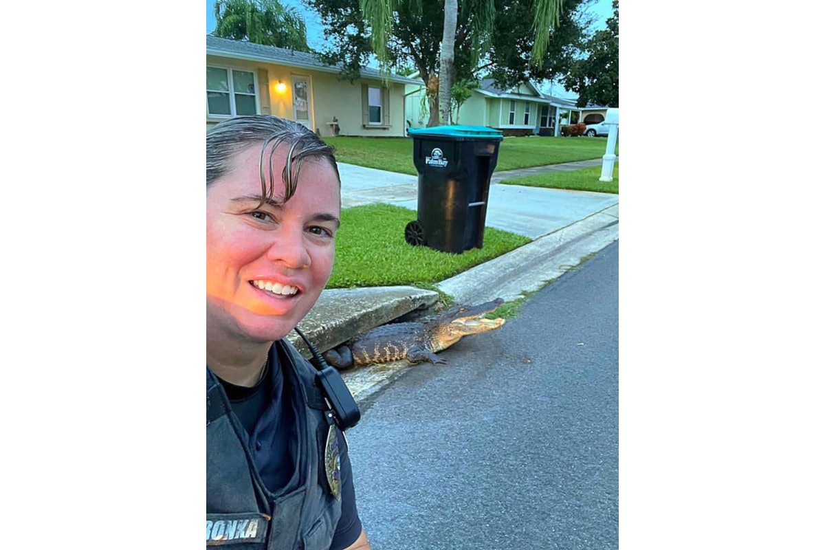 FL Officer Photobombed by Alligator in Storm Drain | Police Magazine